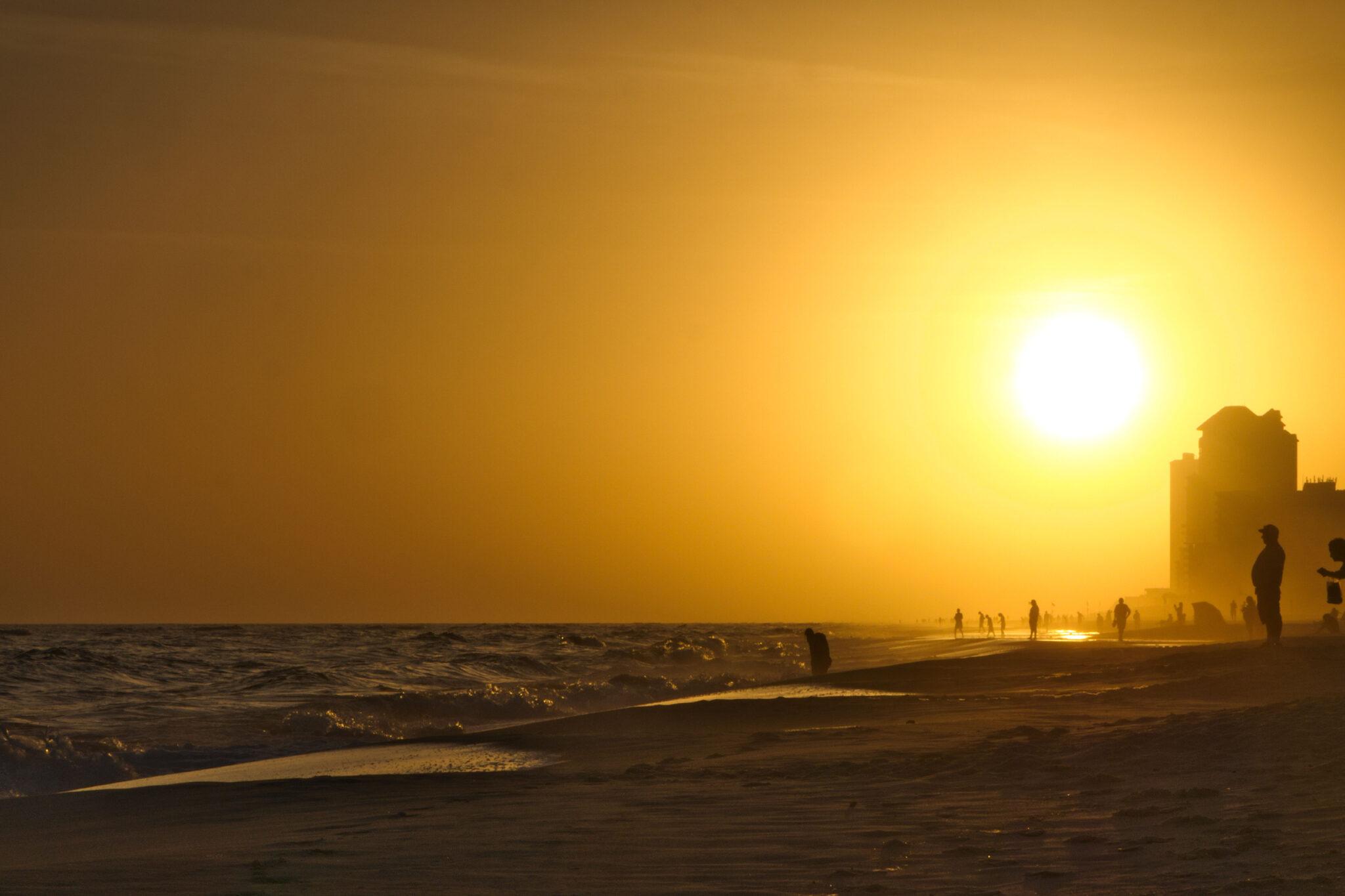 Book Summary Review: The Noticer - Morning Upgrade